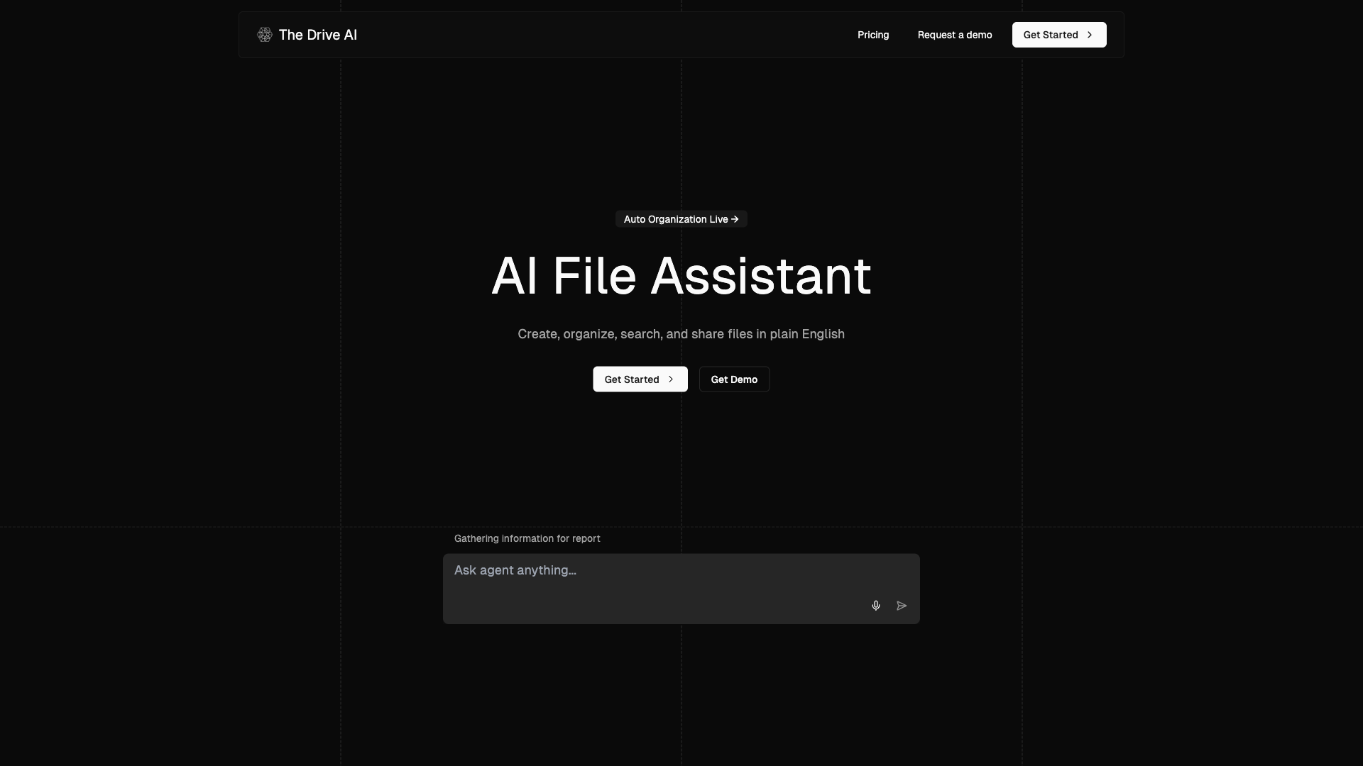 The Drive - AI File Management Tool
