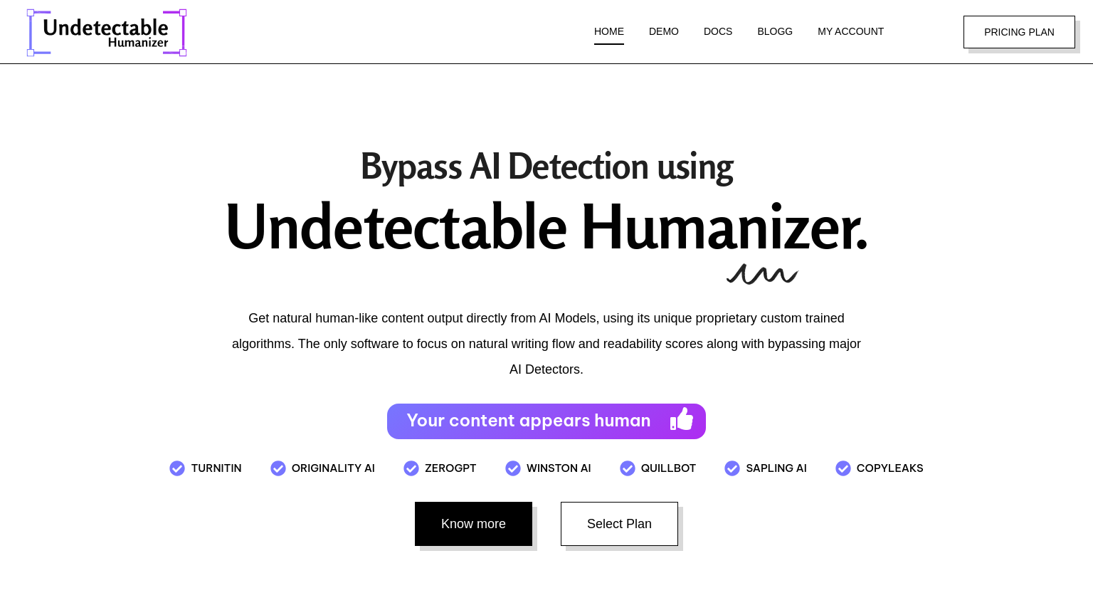 Undetectable AI Humanizer